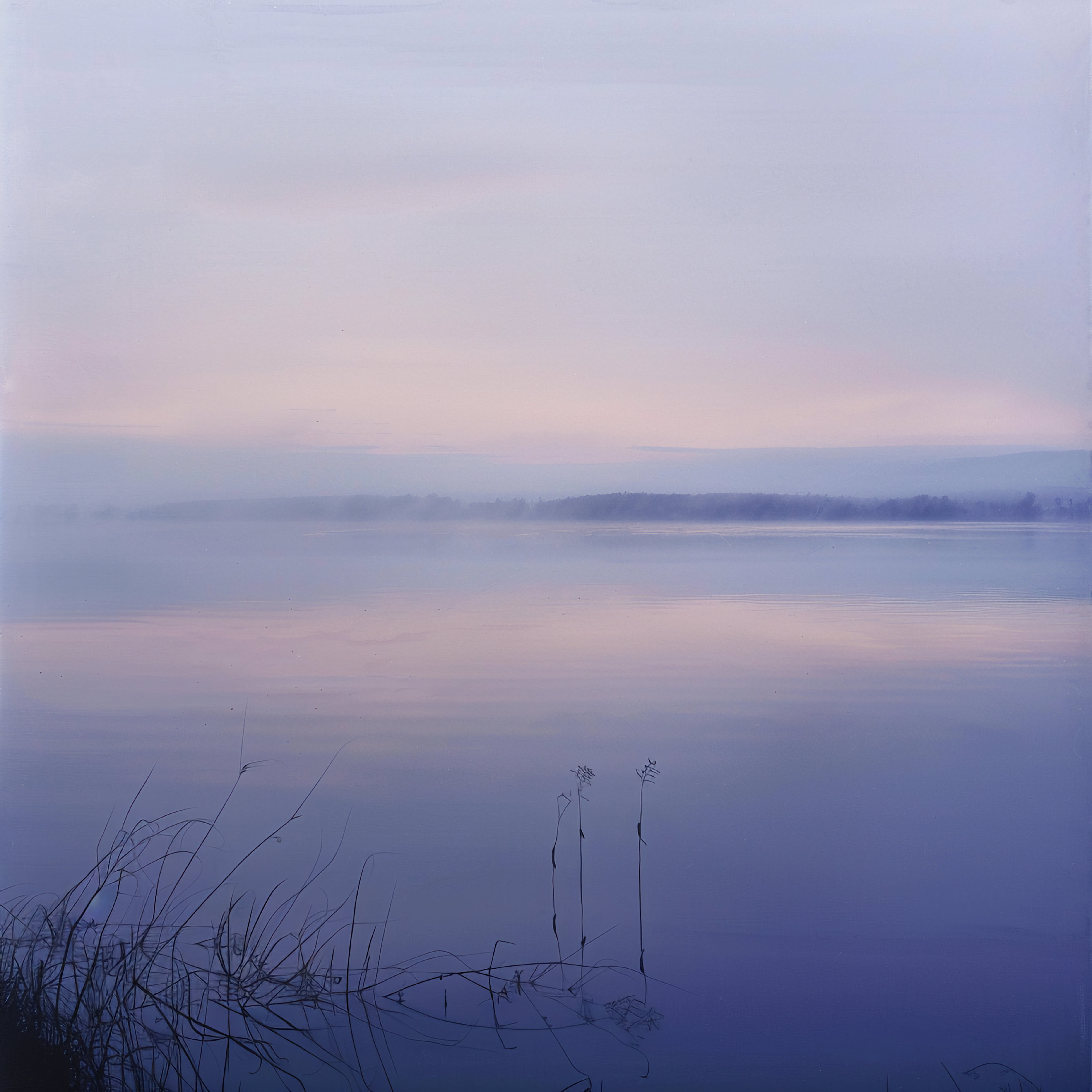 Misty Morning Lake Scene - Free Stock Photo | FOCA Stock